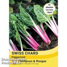 Swiss Chard Peppermint - Mr Middleton Garden Shop