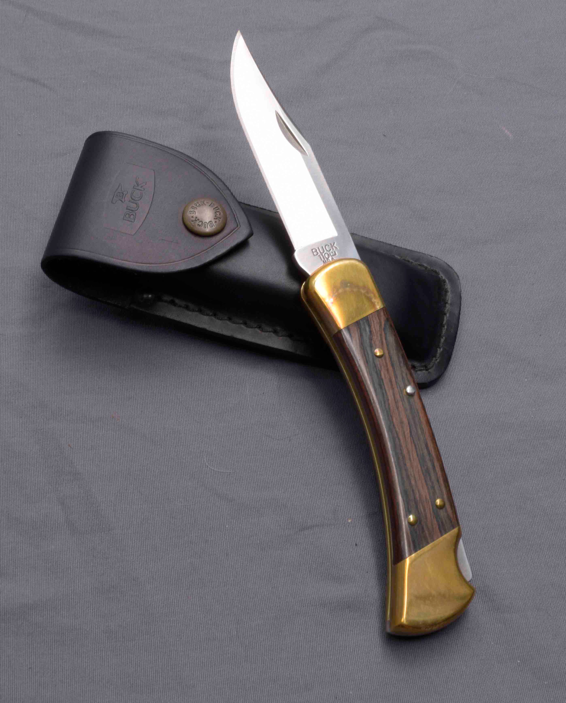 2018 Buck 110 Lockback Knife with Leather Sheath - Retro Rifles