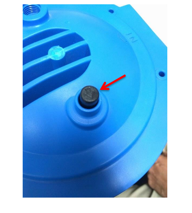 2 Inch Vent Cap with Screen