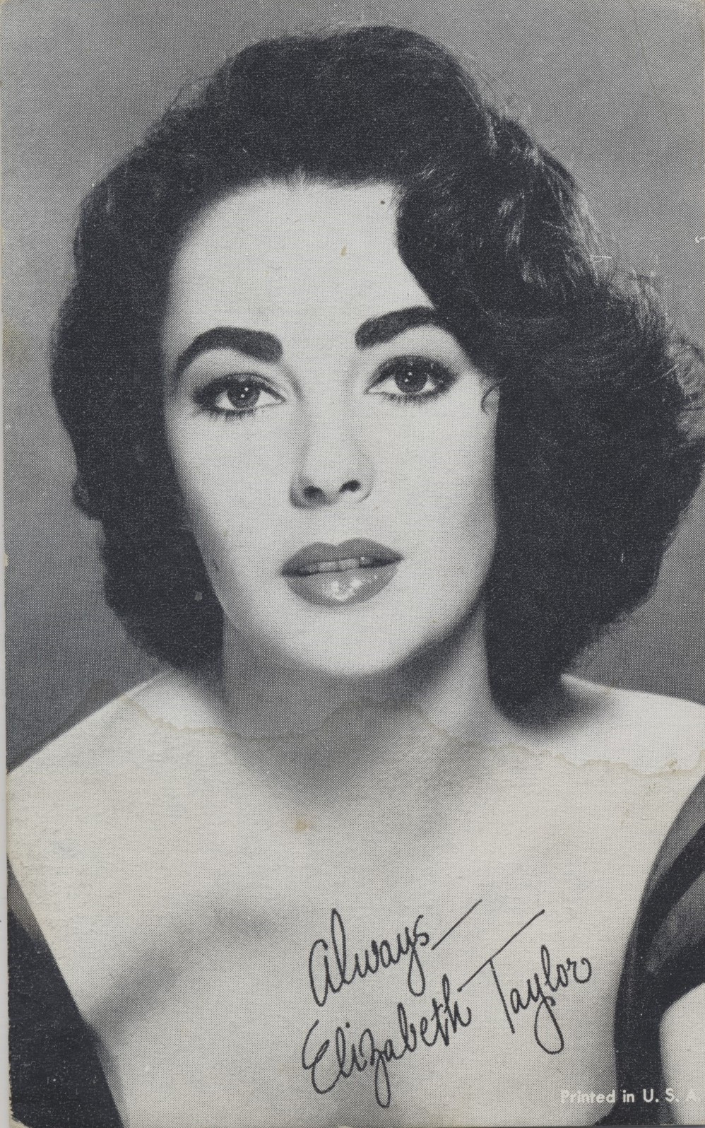 1950 EXIBIT CARD ELIZABETH TAYLOR