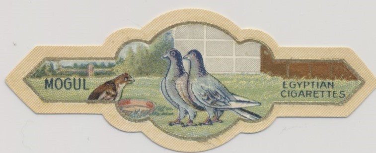 c1900's T350-1 Pictorial Design Regular Cigars Mogul Egyptian ...