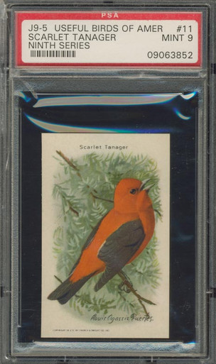 Useful Birds Of America #11 Scarlet Tanager PSA 9 Mint #* - Scottsdale ...