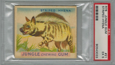 1934 JUNGLE GUM #21 STRIPED HYENA PSA 5 EX