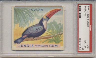1934 JUNGLE GUM #41 TOUCAN PSA 6 EX-MT