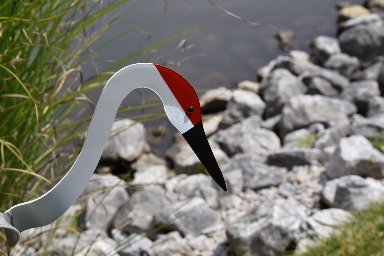 Shop All Florida Dancing Birds Products