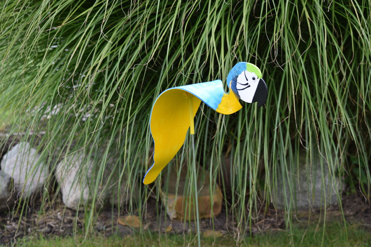 Royal Blue & Gold Macaw - Florida Dancing Birds®