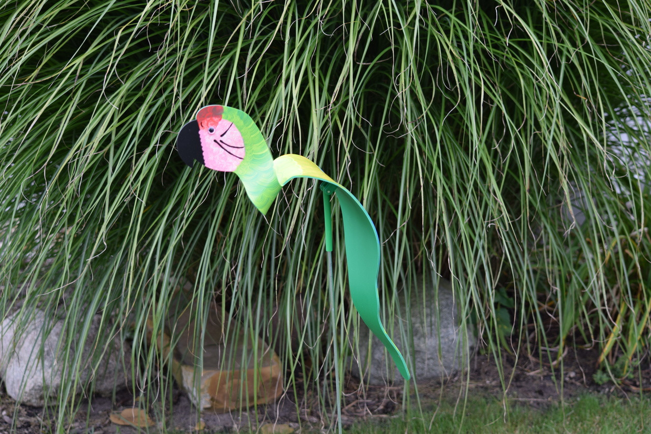 Green Macaw - Florida Dancing Birds®