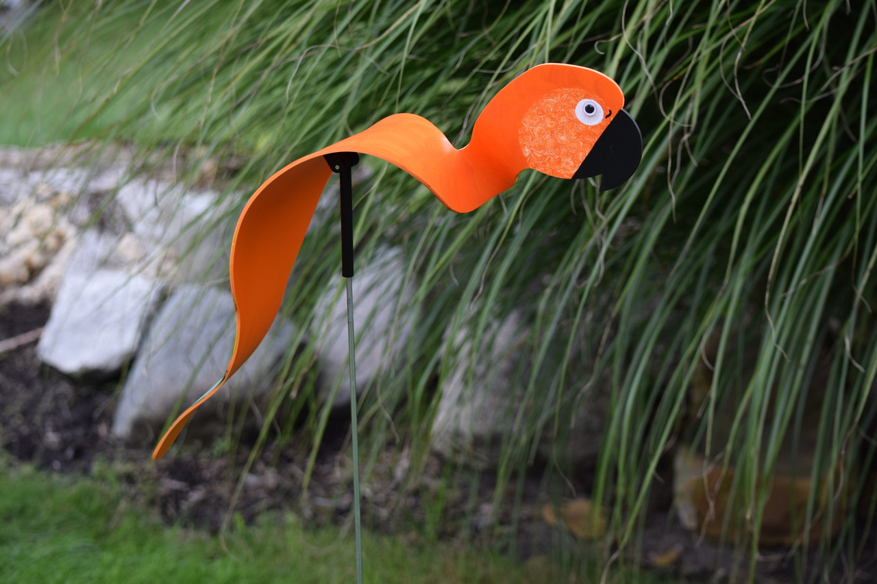 Orange Parrot - Florida Dancing Birds®