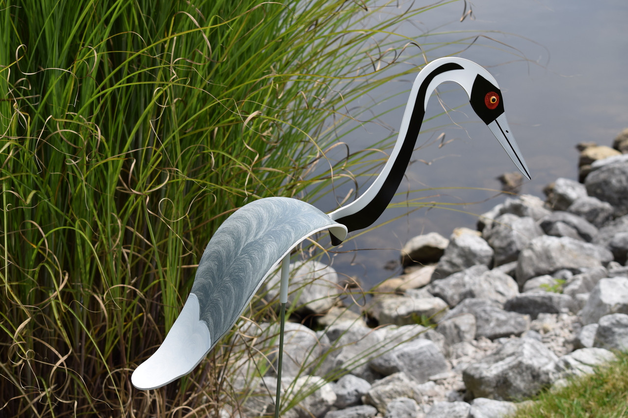 Rainbow Flamingo - Florida Dancing Birds®