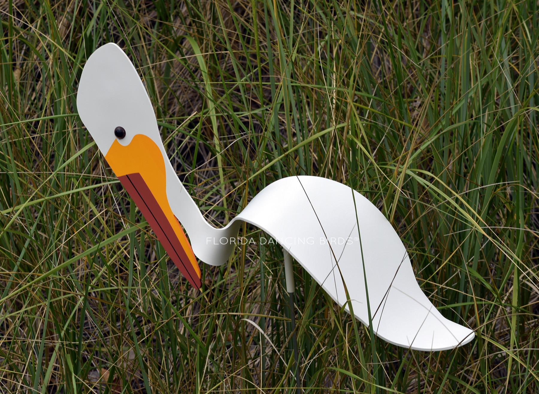 Florida Dancing Birds®