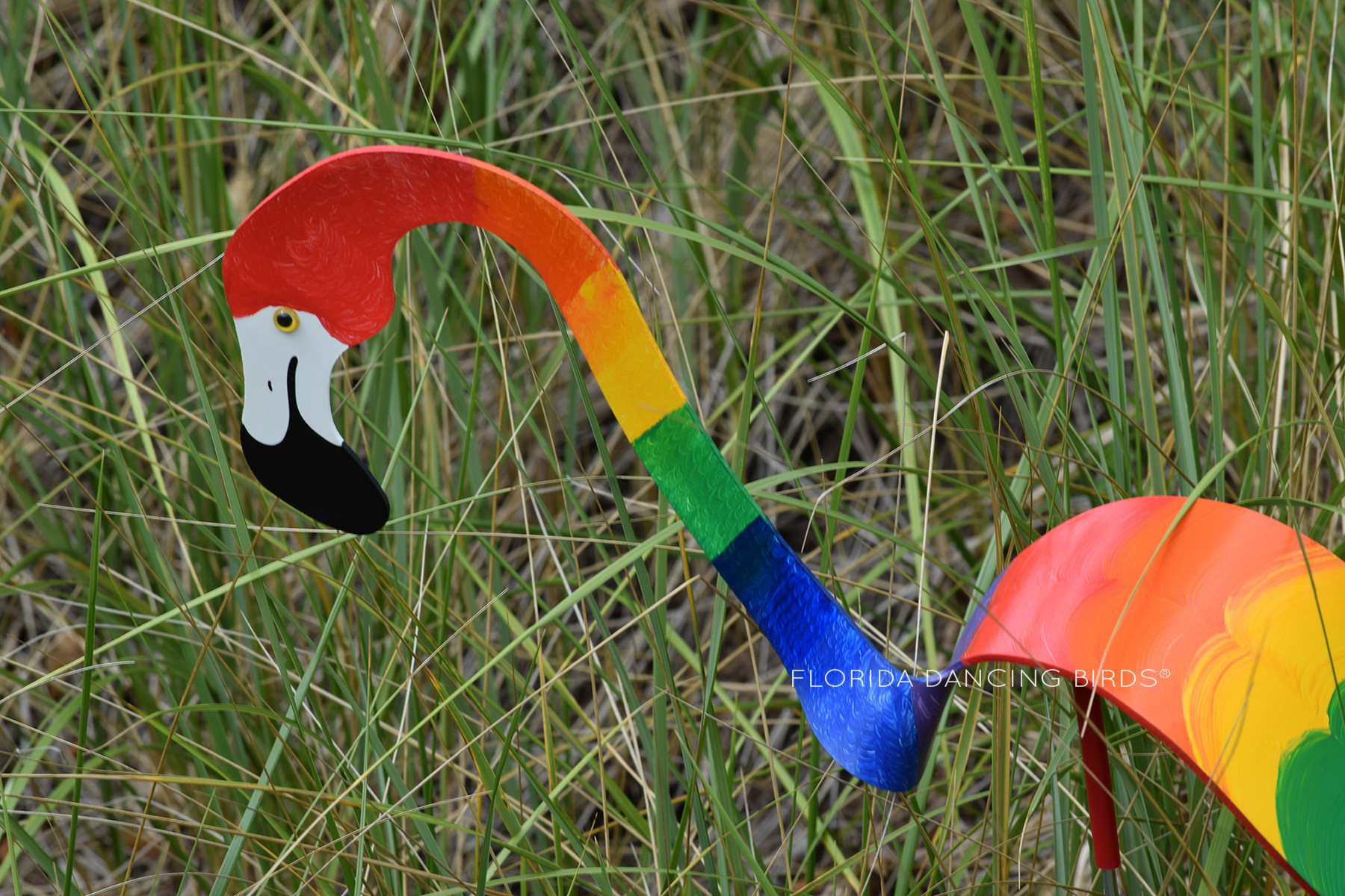 Rainbow Flamingo - Florida Dancing Birds®