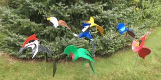 Florida Dancing Birds®