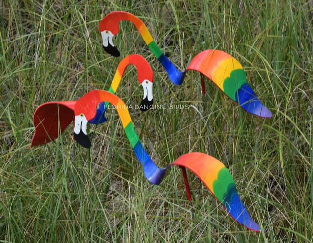 Rainbow Flamingo - Florida Dancing Birds®