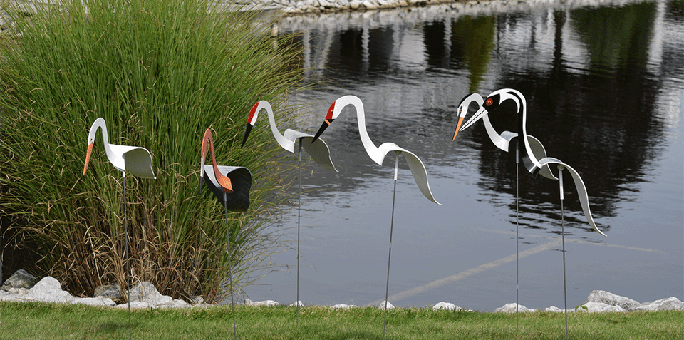 Florida Dancing Birds®