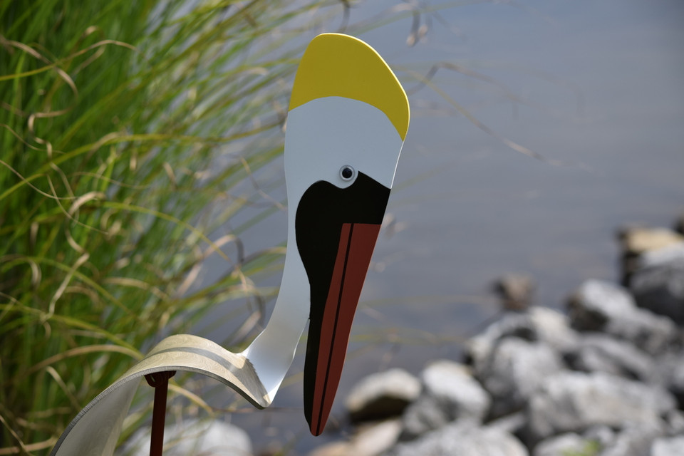 Whooping Crane - Florida Dancing Birds®