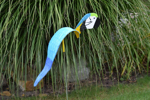 Royal Blue & Gold Macaw - Florida Dancing Birds®