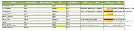 Core Competency Assessment Excel (XLS) Template