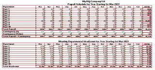 Manpower/staffing Planning and Budgeting Excel XLS template