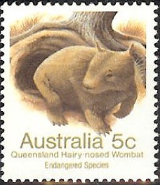 1981 ASC 803 5c Hairy Nosed Wombat | Stamps and Coins