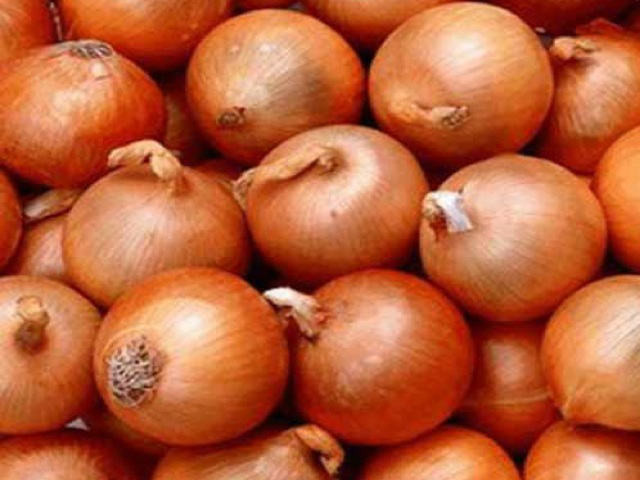 Onion Seeds - Grow Your Own 'Bedfordshire Champion' Onions