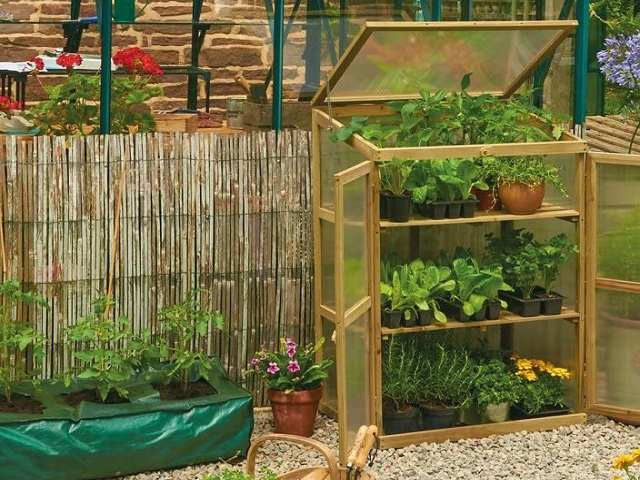 Extra Large Wooden Growhouse With Double Doors - For Plant Protection