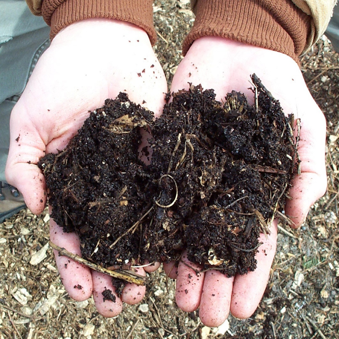 Fast Composting vs Slow Composting