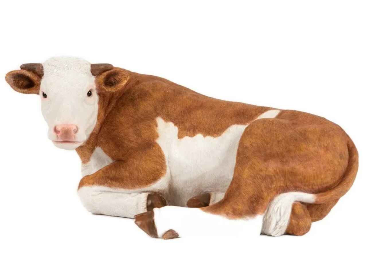 Resting Brown Cow Model resin