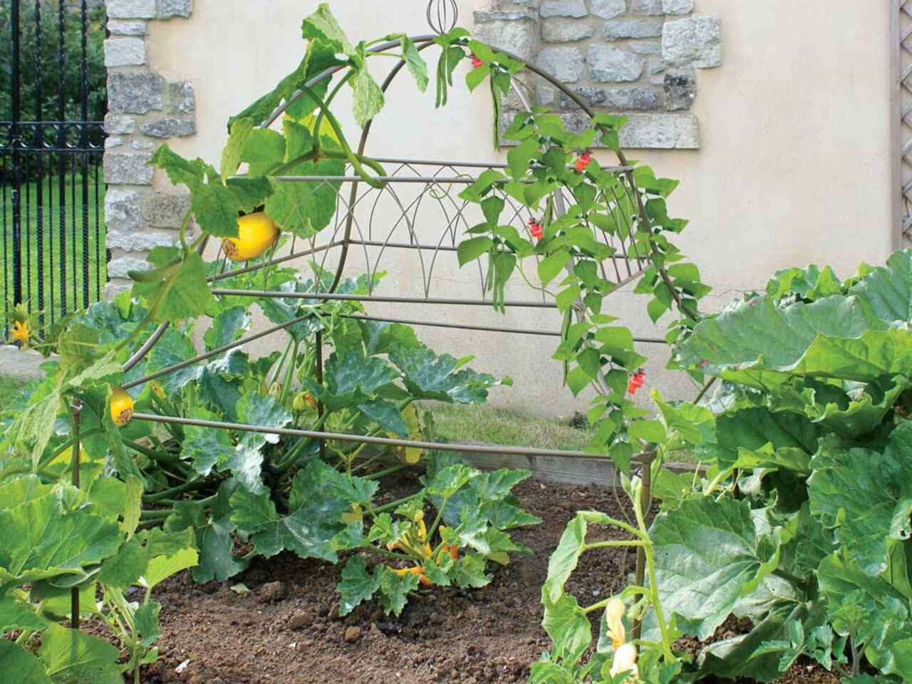 Square Ornamental Plant Frame Plant Support