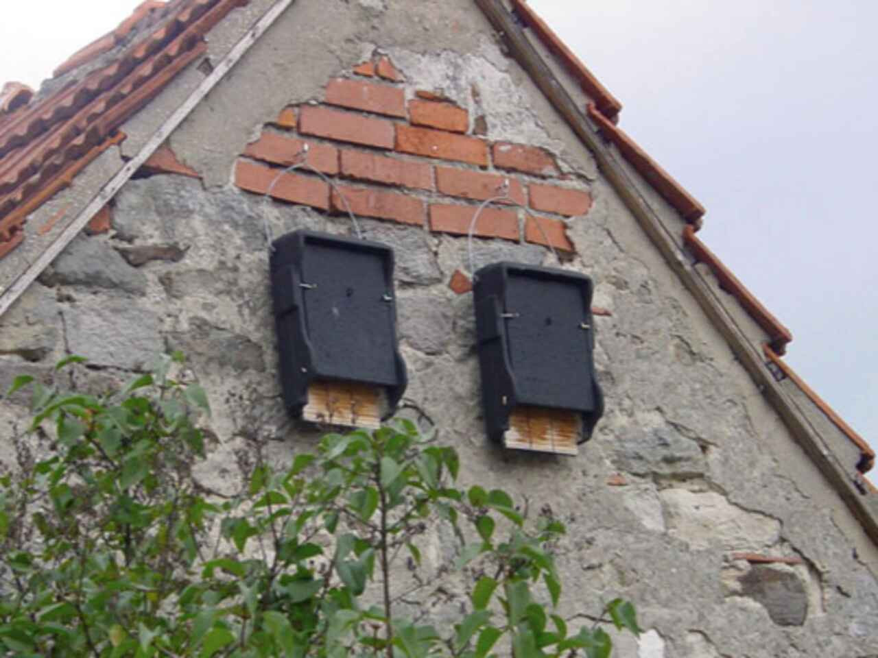 Schwegler Flat Bat Box (1FF)