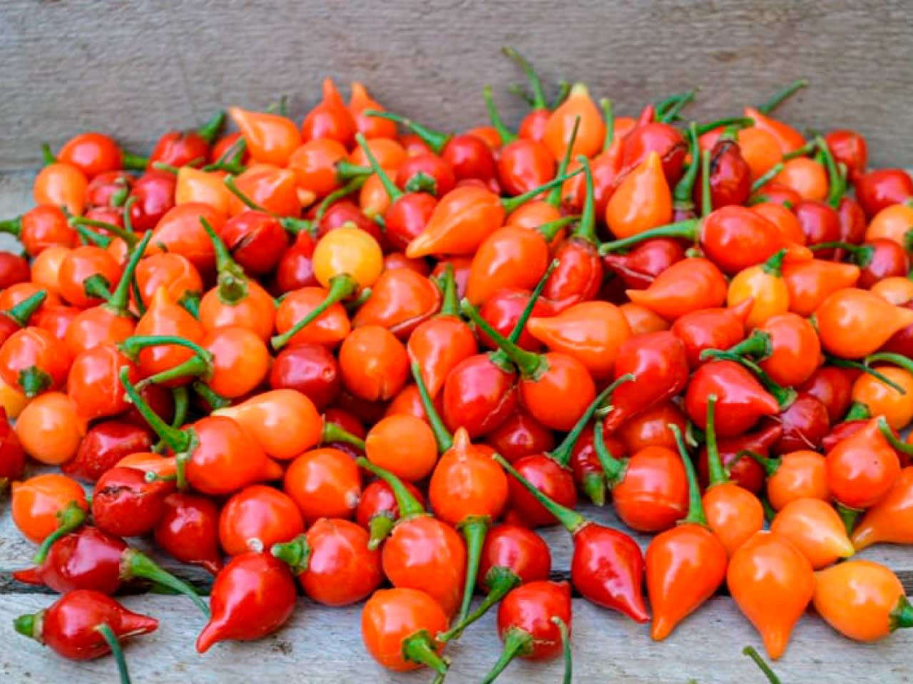 Button Red Peppers