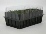 Deep Rootrainer - 32 Cell Seedling Plant Tray