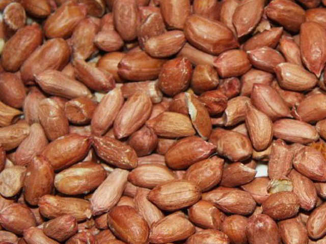 Wild Bird Peanuts - 25kg bag of Bird Feed