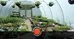 A Beginner's Guide to Polytunnel Gardening