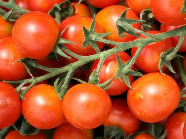 Tomato Seeds - Sweet Aperitif - Variety of Cherry Tomaotes