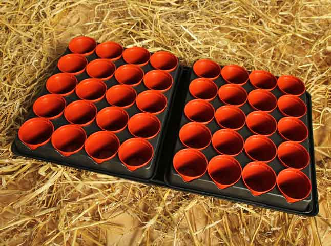 Plantpak Plant Trays With Pots & Capillary Matting