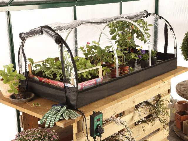 Propagators For Propagating Vegetable Seeds
