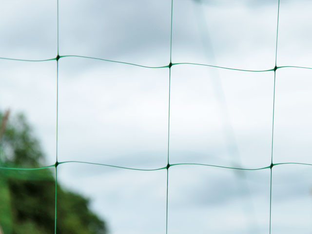 Pea and Bean Support Mesh - Support for Climbing Plants