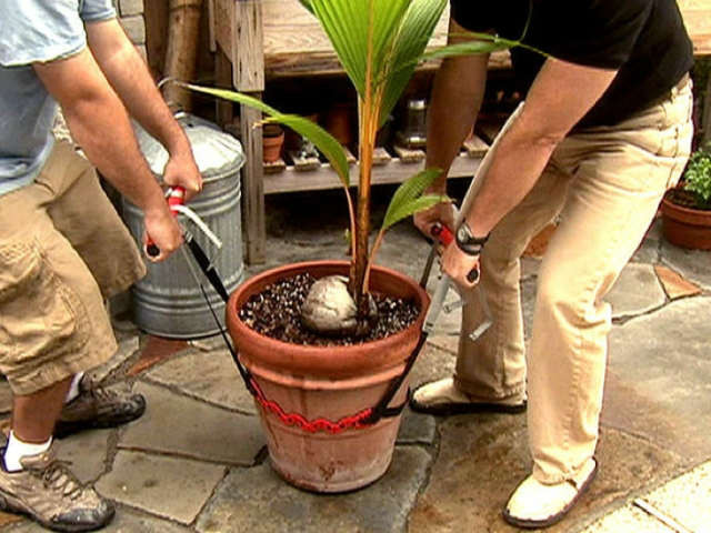The New Pot Lifter for Lifting Large Pots Around The Garden