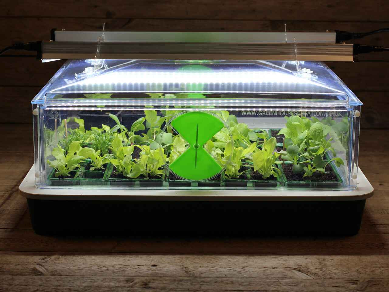 Propagators For Propagating Vegetable Seeds