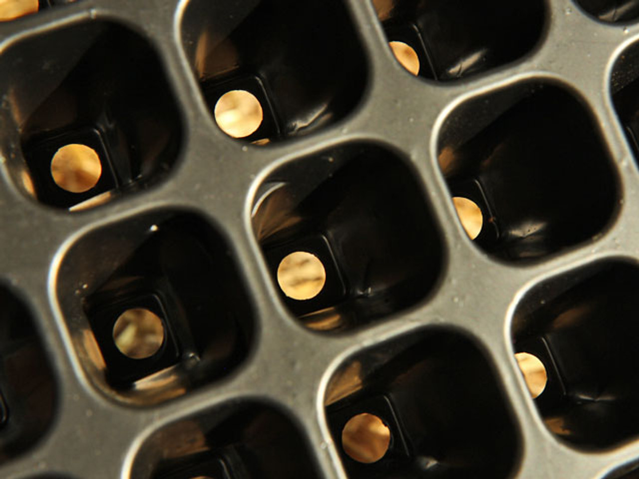 Seedling Propagation - 84 Cell Plug Plant Trays