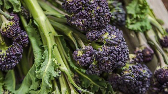 How To Grow Sprouting Broccoli