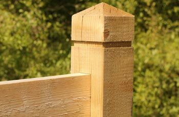 Garden Structures - Polytunnels, Greenhouses, Fencing & Furniture