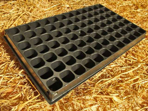 Seedling Propagation - 84 Cell Plug Plant Trays