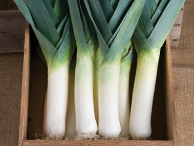 How To Grow Leeks