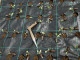 Weed Control Fabric - Gro Grid 'A' Planting Mat