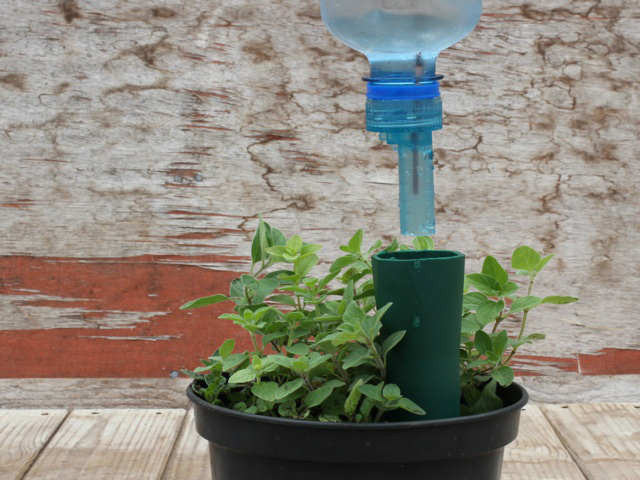 Garden Irrigation - The Bottle Top Watering Spike