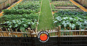 French Intensive Gardening