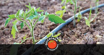 Automatic Garden Watering Systems