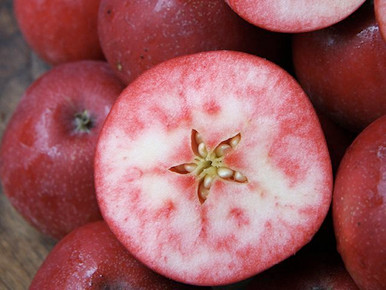 Rosette Apple Trees - Grow Your Own Apples