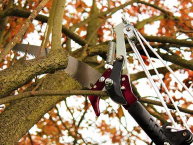 Kent & Stowe Telescopic Tree Lopper - 3m - Garden Tools